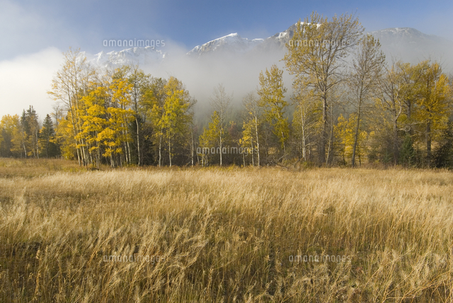 Foggy, snow-covered peaks of the Niut Range, Coast Mountains, rise ...