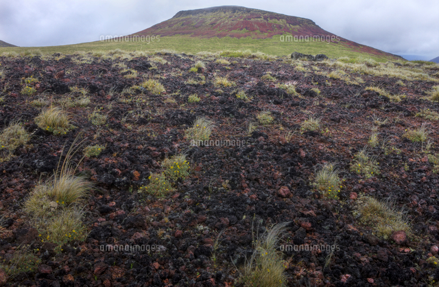 Volcanic landscape in the Itcha Mountains of British Columbia Canada ...