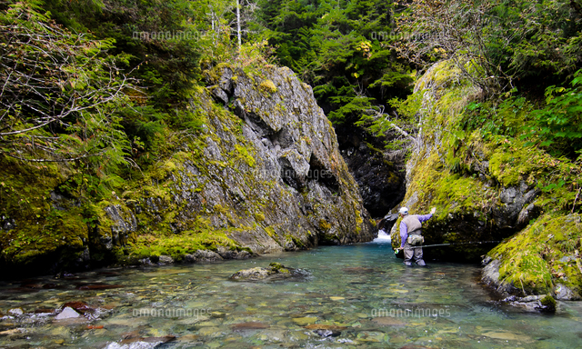 Fly fishing on the Heber River, Vancouver Island, British Columbia ...