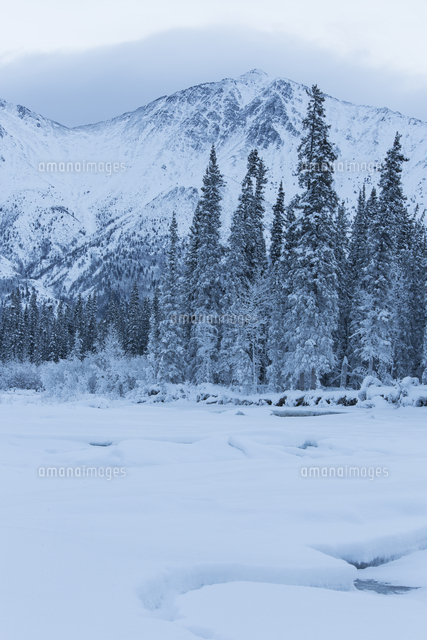The mountains of the Wheaton River Valley, outside of Whitehorse, Yukon ...