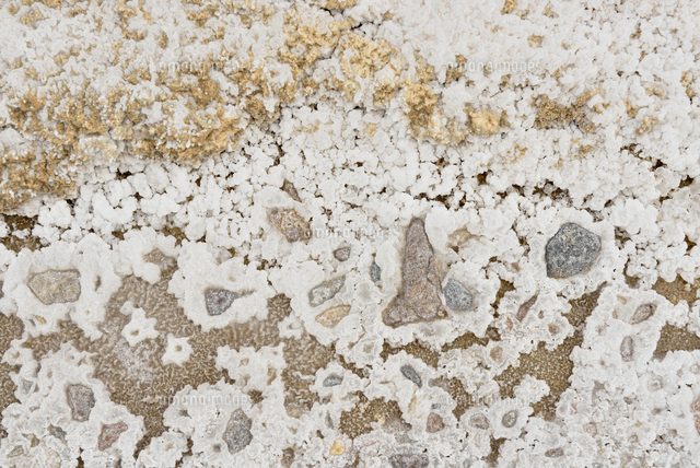Salt encrusted patterns created through evapouration near the ...