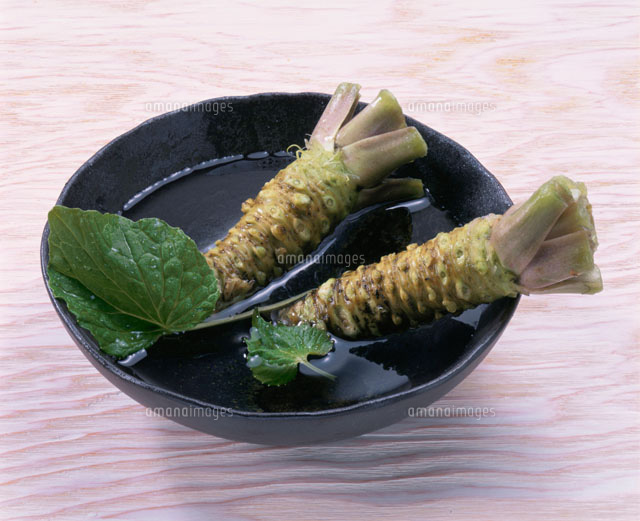 わさび[20013021634]の写真素材・イラスト素材｜アマナイメージズ