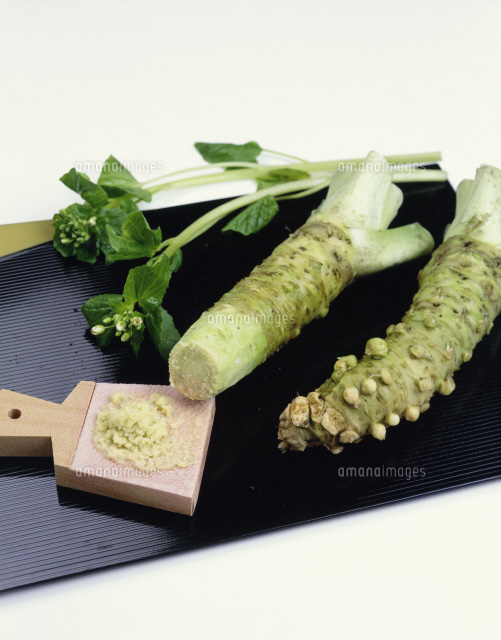 ワサビ[26042001766]の写真素材・イラスト素材｜アマナイメージズ
